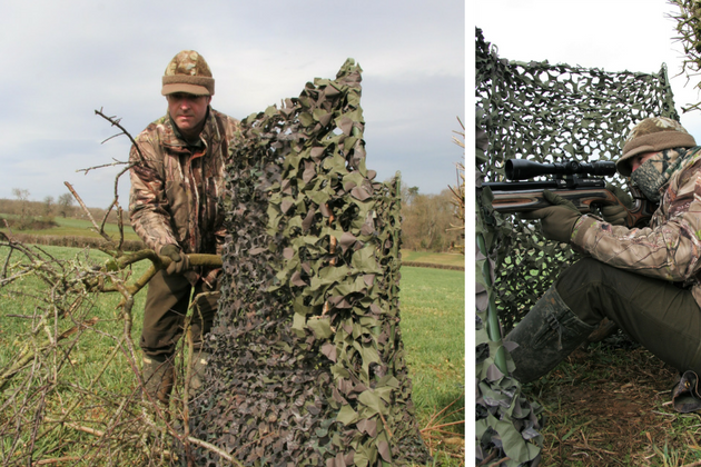 Shooting pigeons with an airgun and placing decoys - Shooting UK