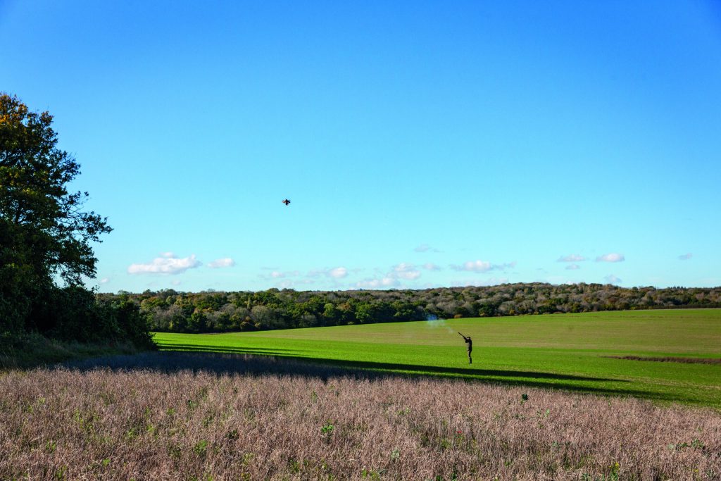 Labour Party say they are pro ‘sustainable shooting’ - Shooting UK