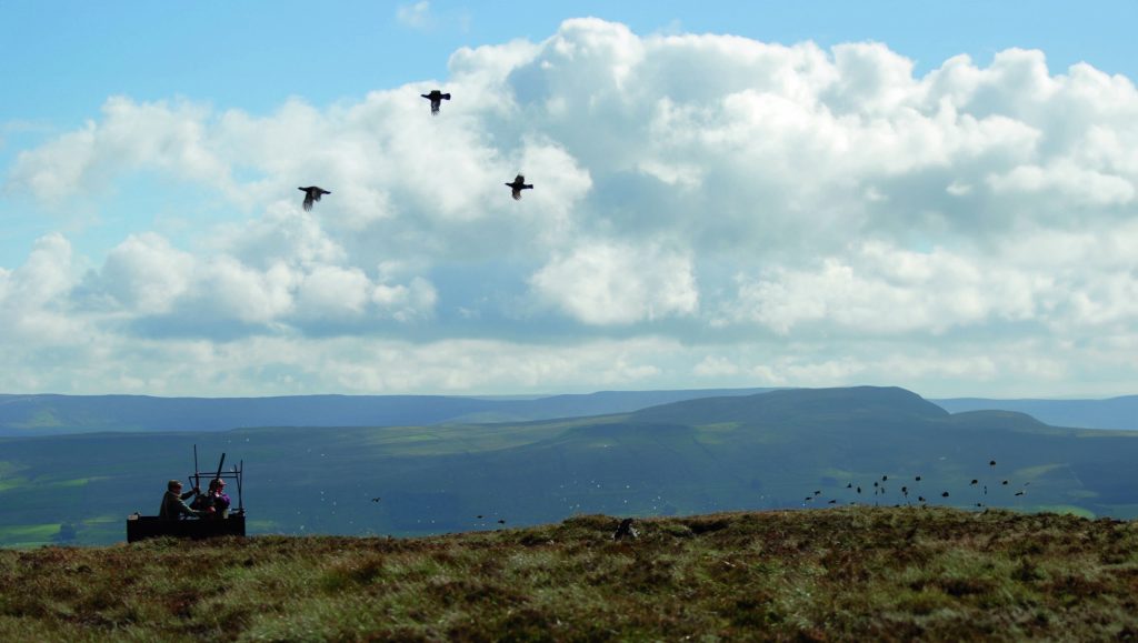 ‘Shoot licensing’ is imposed in Scotland - Shooting UK