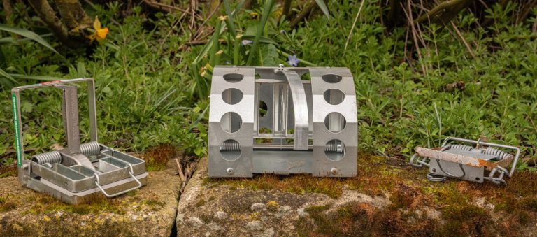 Gamekeeping traps and snares: legal predator control guide - Shooting UK