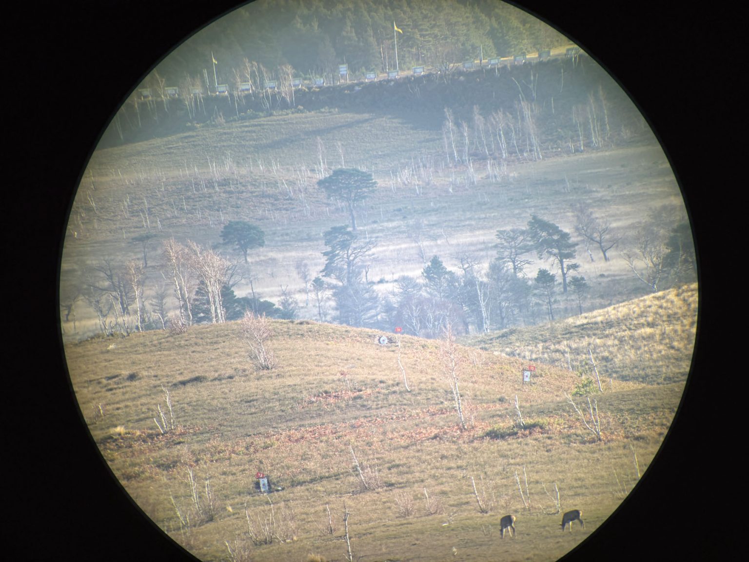 Swarovski AT and ST Balance spotting scope review - Shooting UK