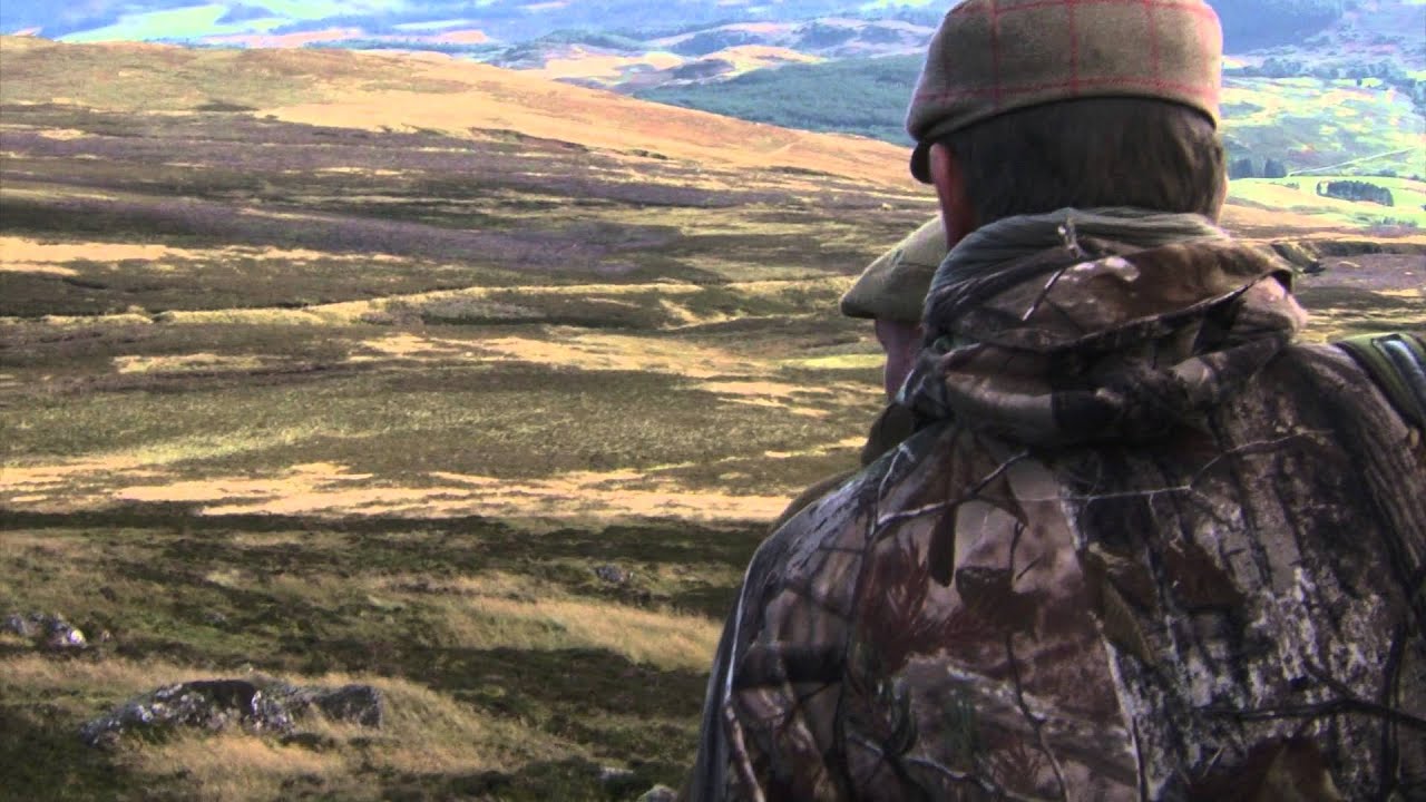 UK Deer Seasons Guide for All Species | Shooting UK