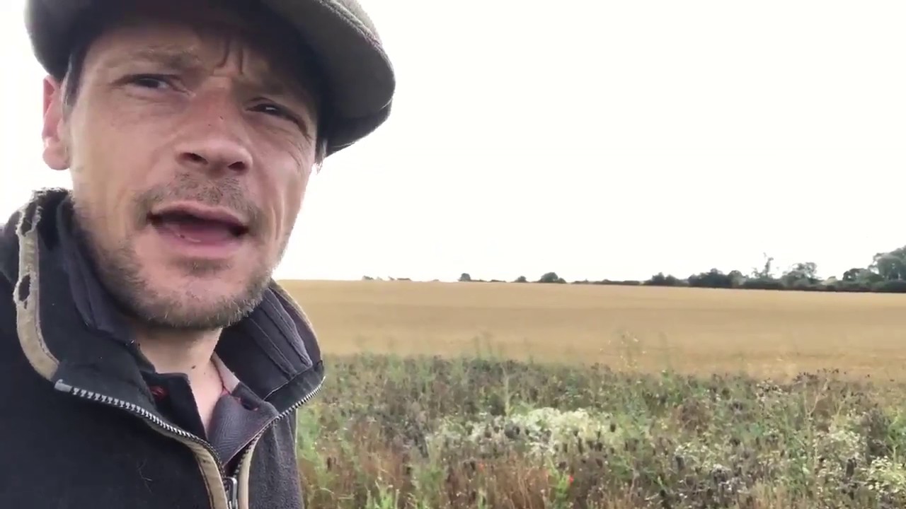 GWCT launches 12 gamebird management principles - Shooting UK