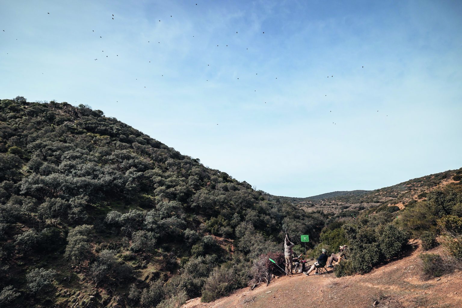 Partridge shooting in La Nava, Spain - Fieldsports Journal