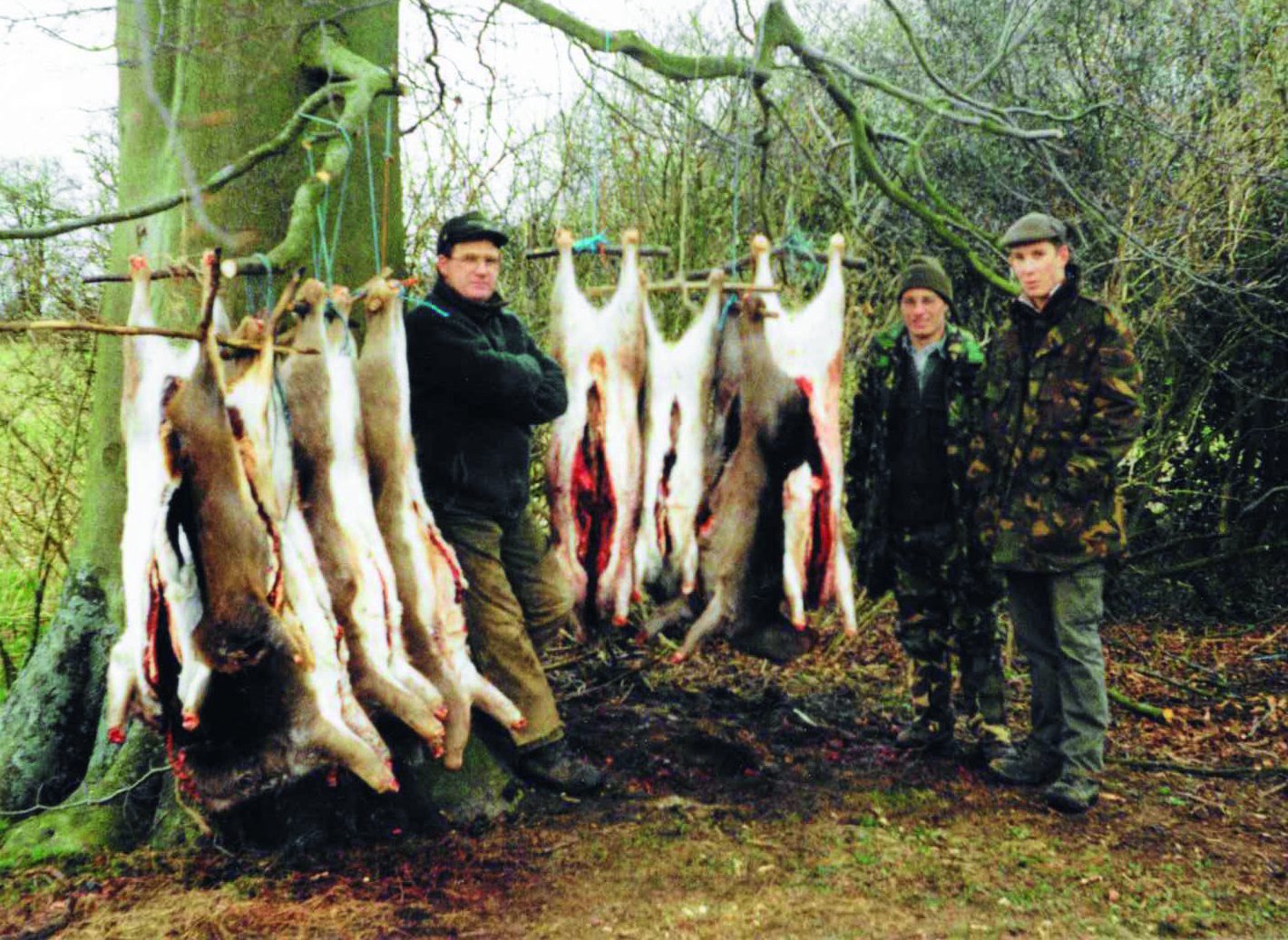 How to start deer stalking in the UK - Rifle Shooter